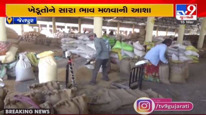 Rajkot : Jetpur માર્કેટ યાર્ડમાં વિવિધ જણસીની આવકથી છલકાઈ ઉઠ્યું ...