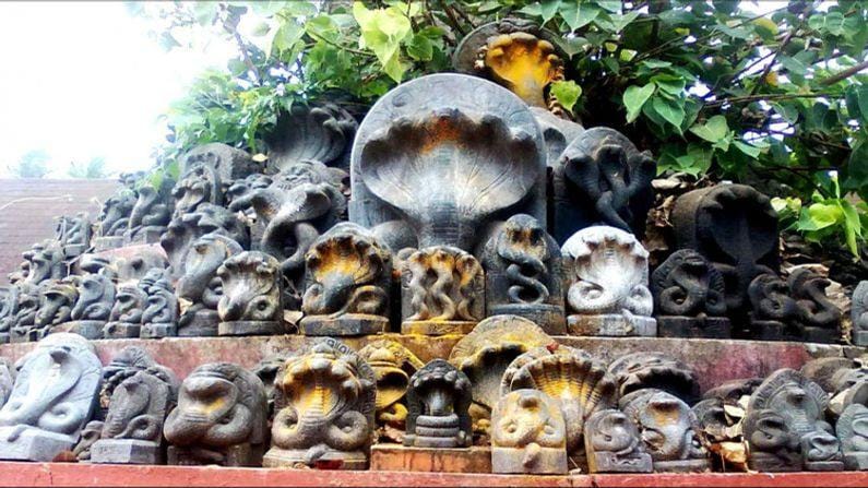 Nag panchami: શું તમને ખબર છે કે નાગપંચમીની ઊજવણીની શરૂઆત કેવી રીતે થઈ ...