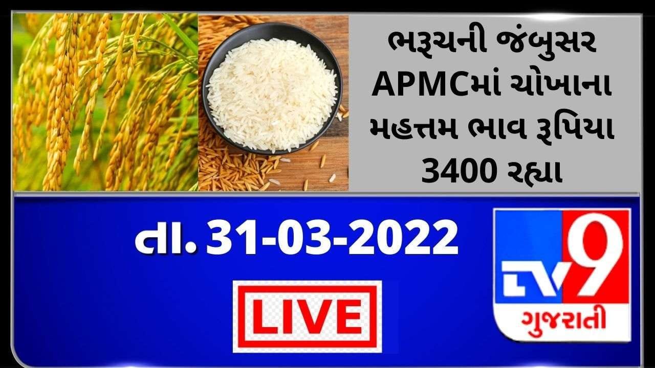Mandi: ભરૂચની જંબુસર APMCમાં ચોખાના મહત્તમ ભાવ રૂપિયા 3400 રહ્યા, જાણો જુદા-જુદા પાકના ભાવ ...