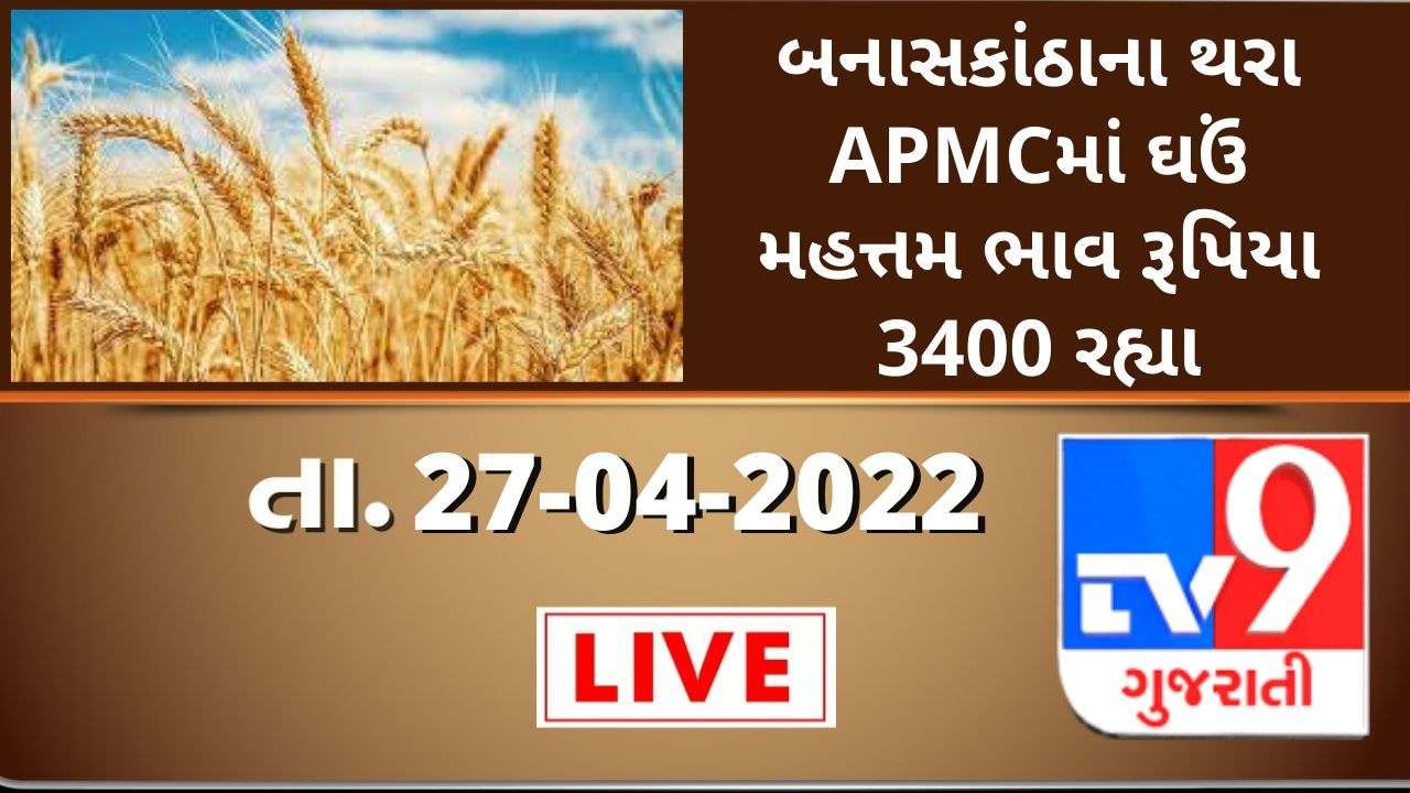Mandi: બનાસકાંઠાના થરા APMCમાં ઘઉંના મહત્તમ ભાવ રૂપિયા 3400 રહ્યા, જાણો જુદા-જુદા પાકના ભાવ ...