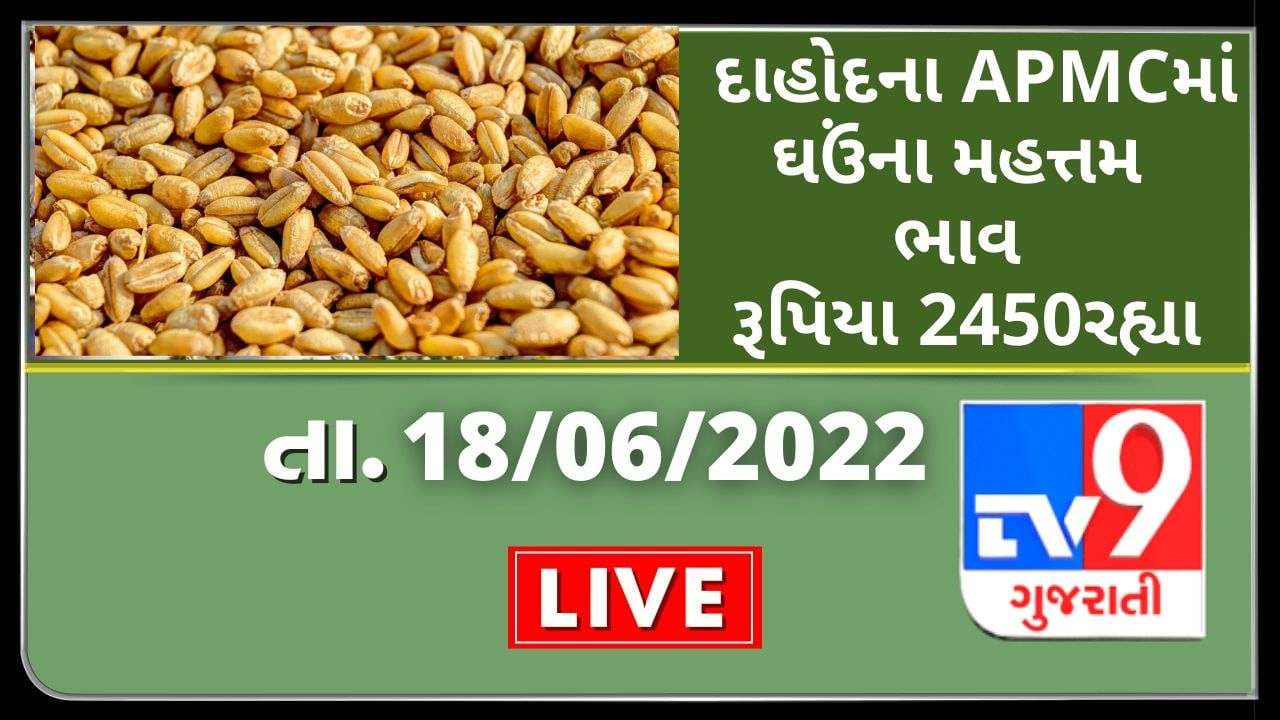 Mandi: દાહોદના APMCમાં ઘઉંના મહત્તમ ભાવ રૂપિયા 2450 રહ્યા,જાણો જુદા-જુદા પાકના ભાવ - Gujarati ...