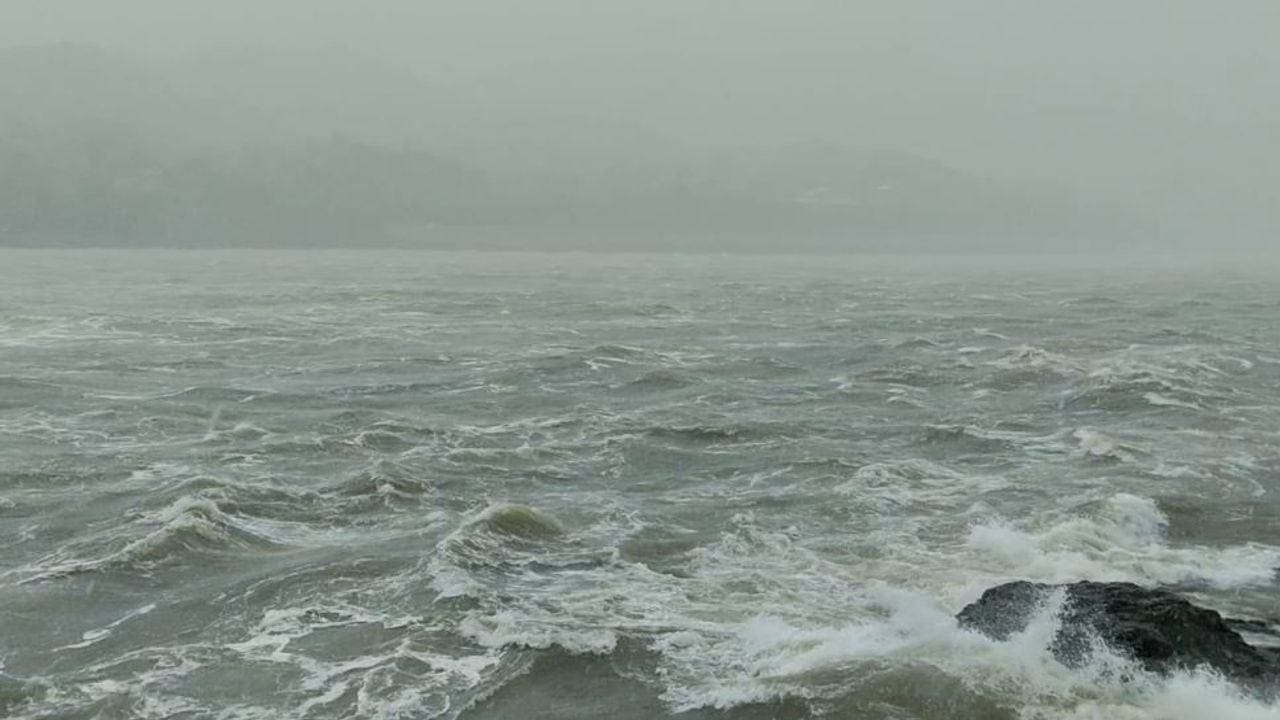 Narmada ડેમમાંથી પાણી છોડાતા સ્ટેચ્યૂ ઓફ યુનિટી નજીક ગોરા ઘાટ પાણીમાં ...
