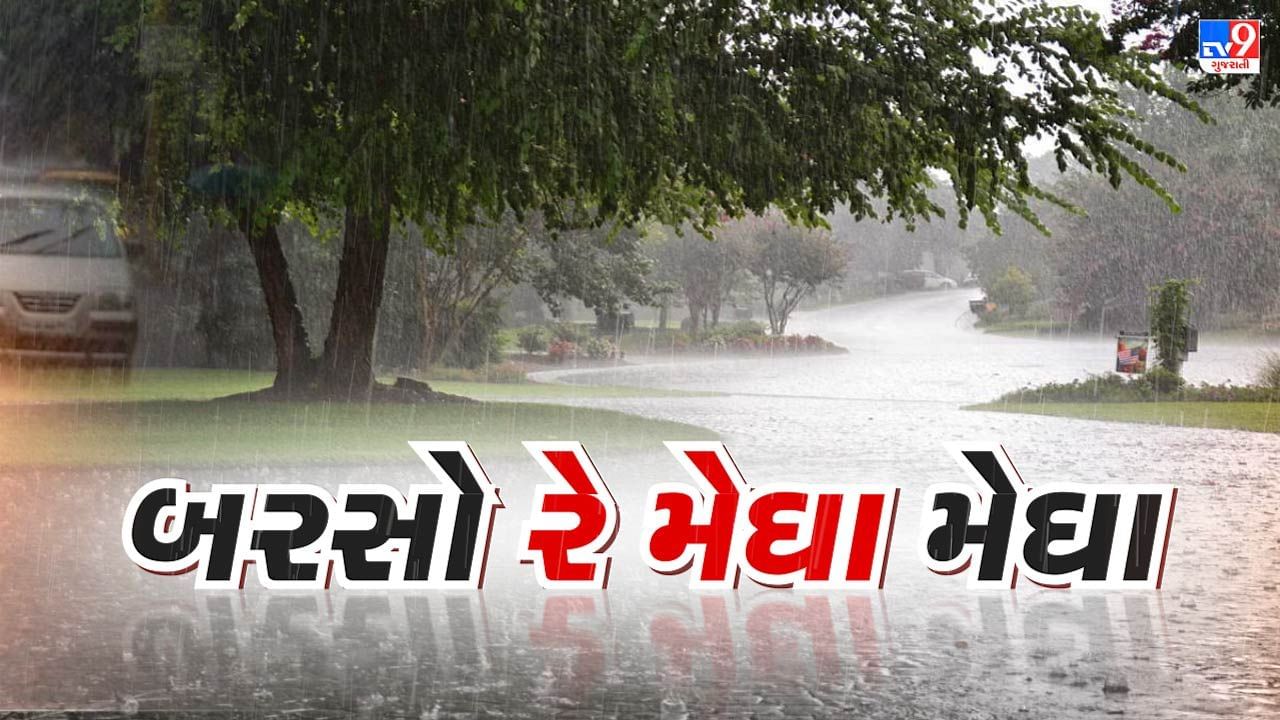 Monsoon 2022 : ફરી રાજ્યમાં વરસાદી સિસ્ટમ સક્રિય, જાણો તમારા શહેરમાં ...