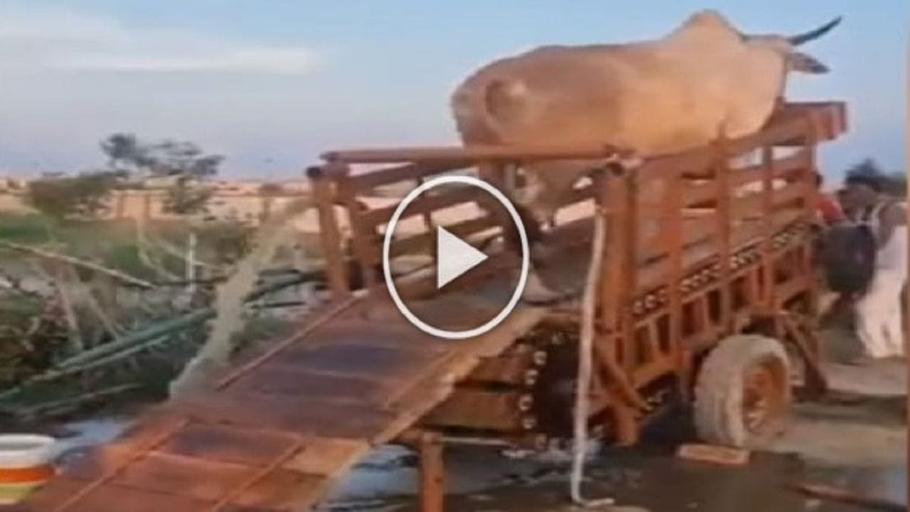 Desi Jugaad: કલેક્ટરે ગામડાના દેશી જુગાડના કર્યા વખાણ, ટેક્નોલોજી જોઈને ...