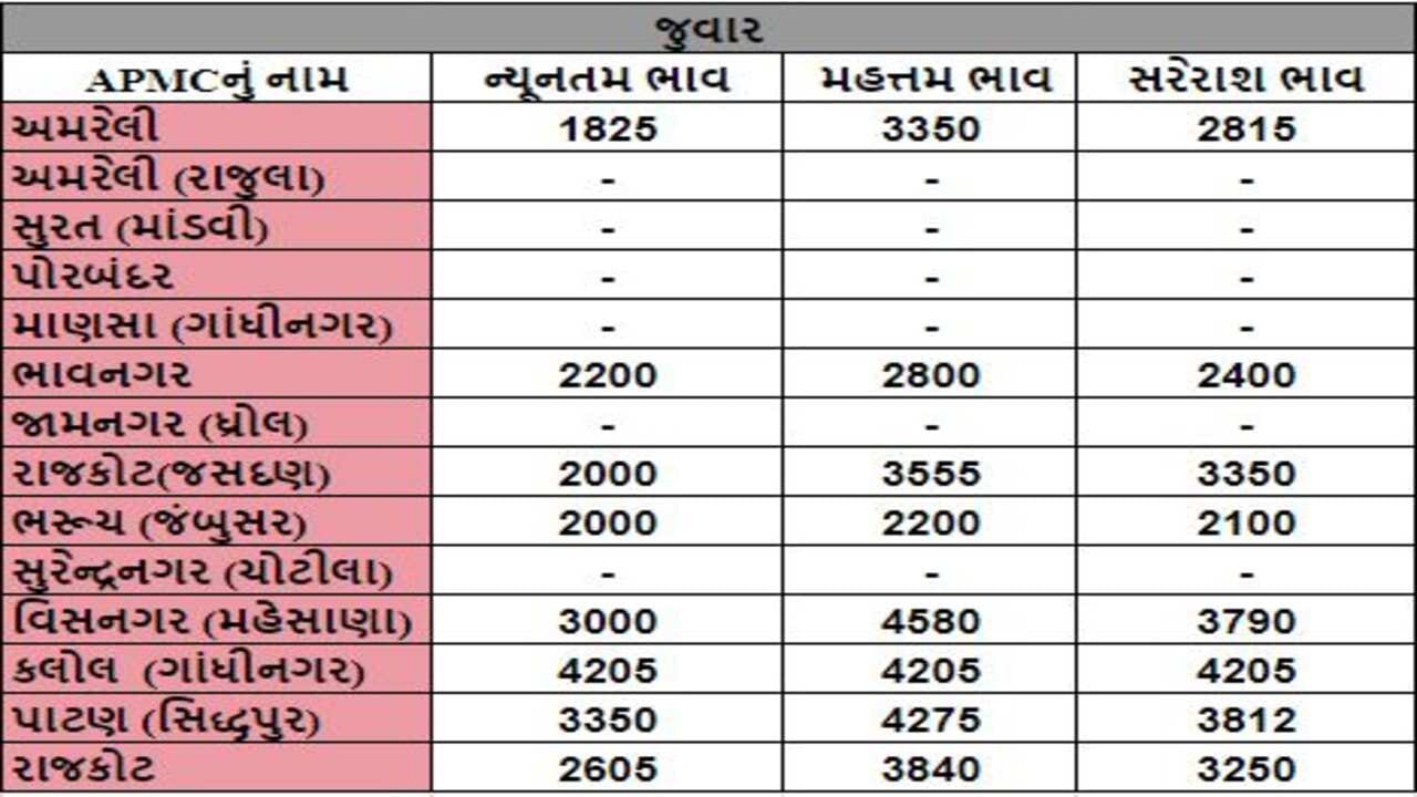 Mandi: મહેસાણાના વિસનગર APMCમાં જુવારના મહત્તમ ભાવ રૂપિયા 4580 રહ્યા, જાણો જુદા-જુદા પાકના ભાવ ...