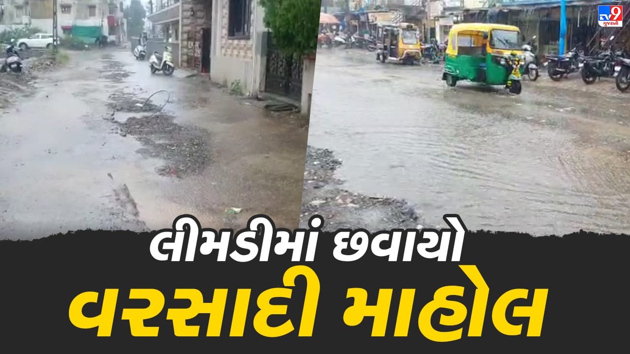 Dahod: લીમડીમાં છવાયો વરસાદી માહોલ , વરસાદી પાણી રોડ પર ફરી વળતા લોકોને ...