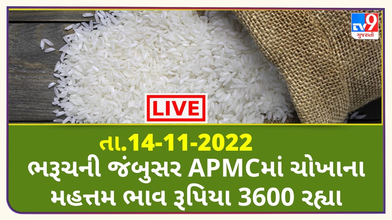 Mandi : ભરૂચના જંબુસરની APMCમાં ચોખાના મહત્તમ ભાવ રૂપિયા 3600 રહ્યા, જાણો જુદા-જુદા પાકના ભાવ ...