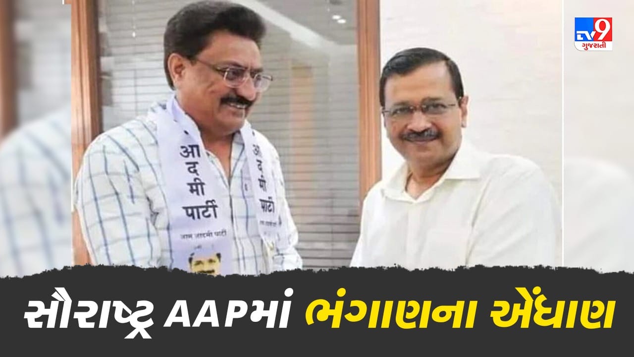 AAPના રાષ્ટ્રીય મહામંત્રી ઈન્દ્રનિલ રાજ્યગુરુ ટિકિટ વહેંચણીમાં યોગ્ય ...