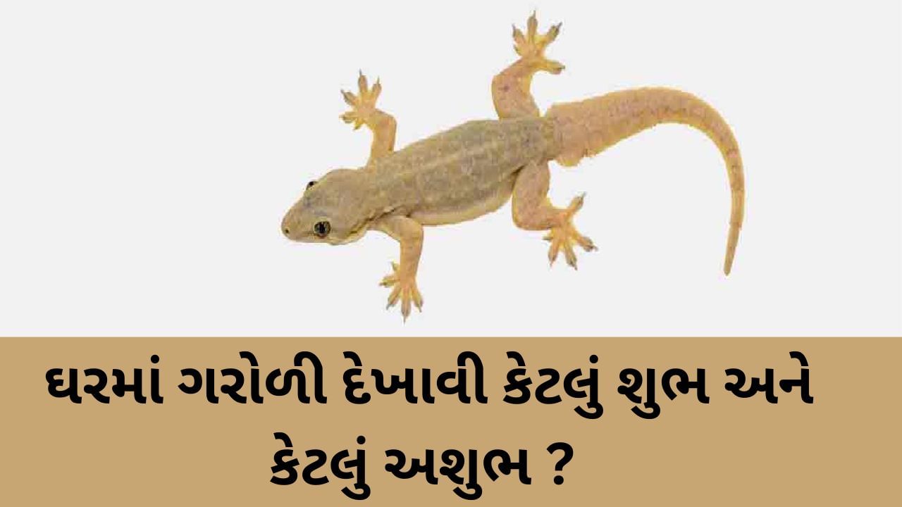Astro Tips : ઘરમાં ગરોળી દેખાવી કેટલું શુભ અને કેટલું અશુભ ? - Gujarati ...