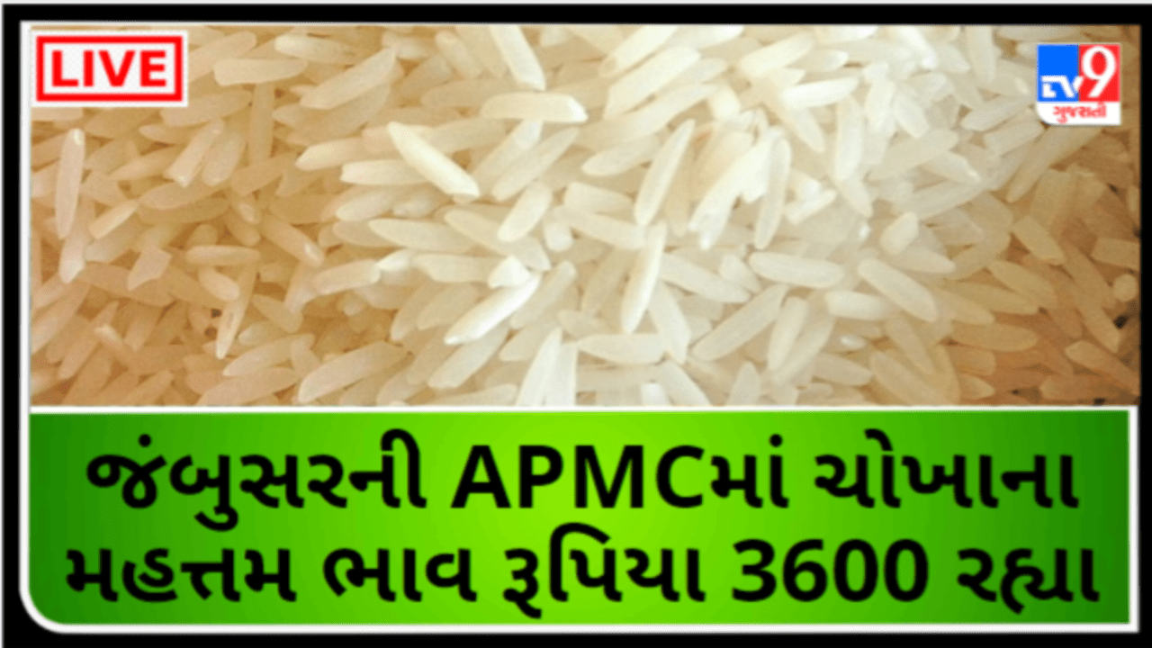 Mandi :જંબુસરની APMCમાં ચોખાના મહત્તમ ભાવ રૂપિયા 3600 રહ્યા, જાણો જુદા-જુદા પાકના ભાવ - Gujarati ...