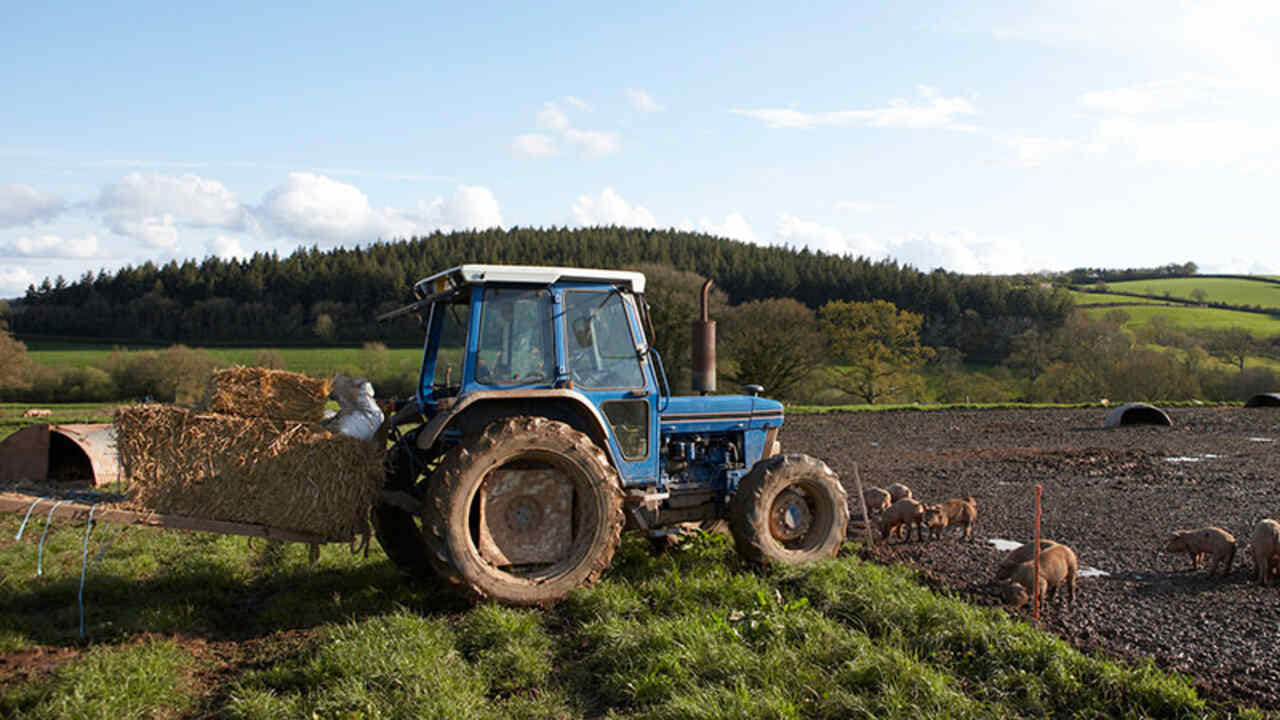 PM Kisan Tractor Yojana 2023: ટ્રેક્ટર સબસિડી યોજનામાં અરજી શરૂ ...