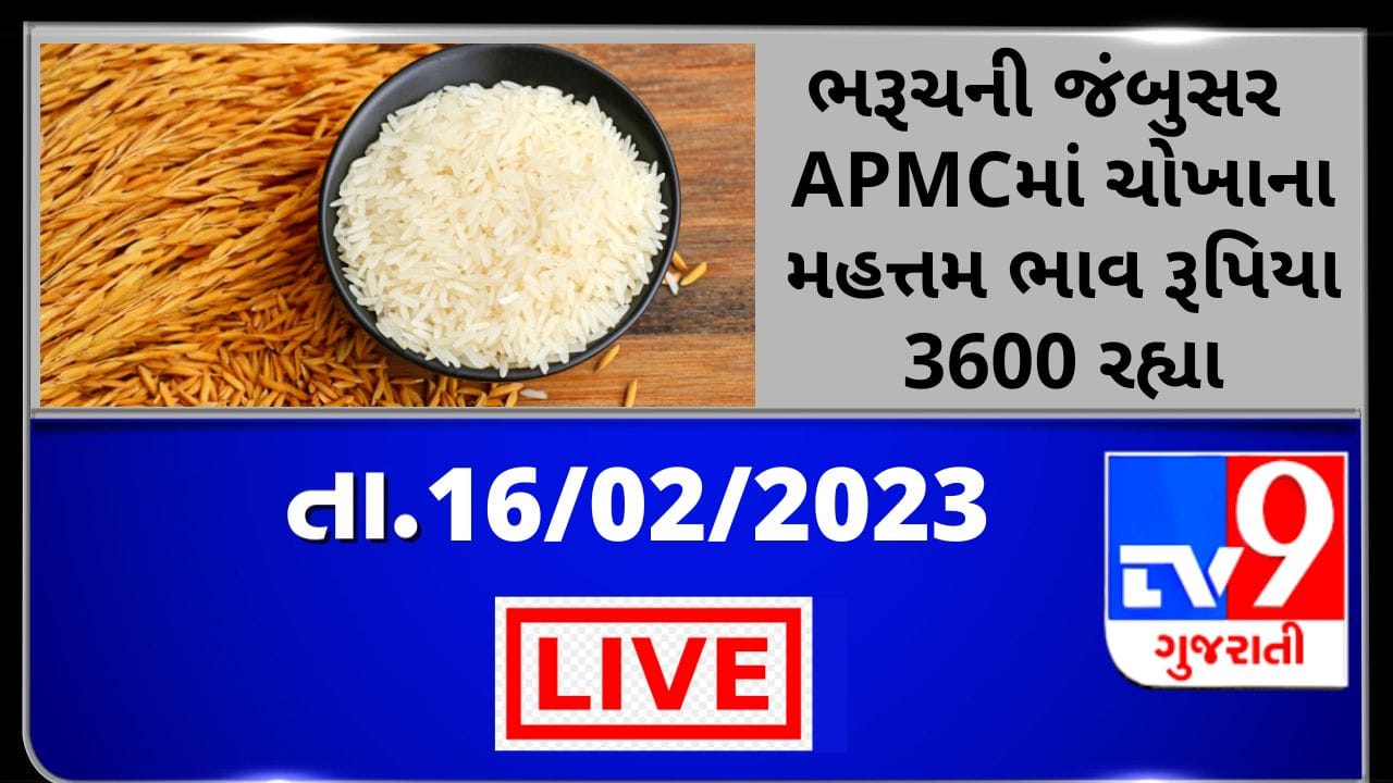 Mandi : ભરૂચની જંબુસર APMCમાં ચોખાના મહત્તમ ભાવ રૂપિયા 3600 રહ્યા, જાણો જુદા-જુદા પાકના ભાવ ...