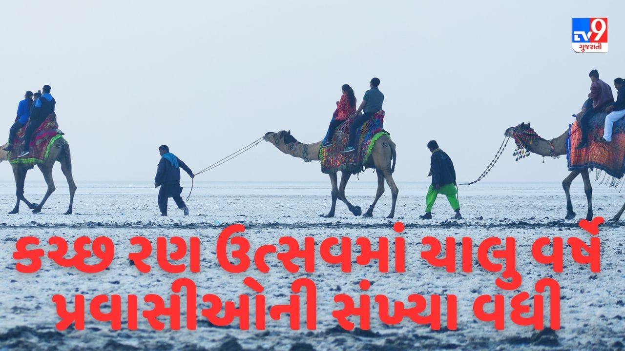 Kutch: રણ ઉત્સવમાં ચાલુ વર્ષે પ્રવાસીઓની સંખ્યા વધી, 860 વિદેશી ...