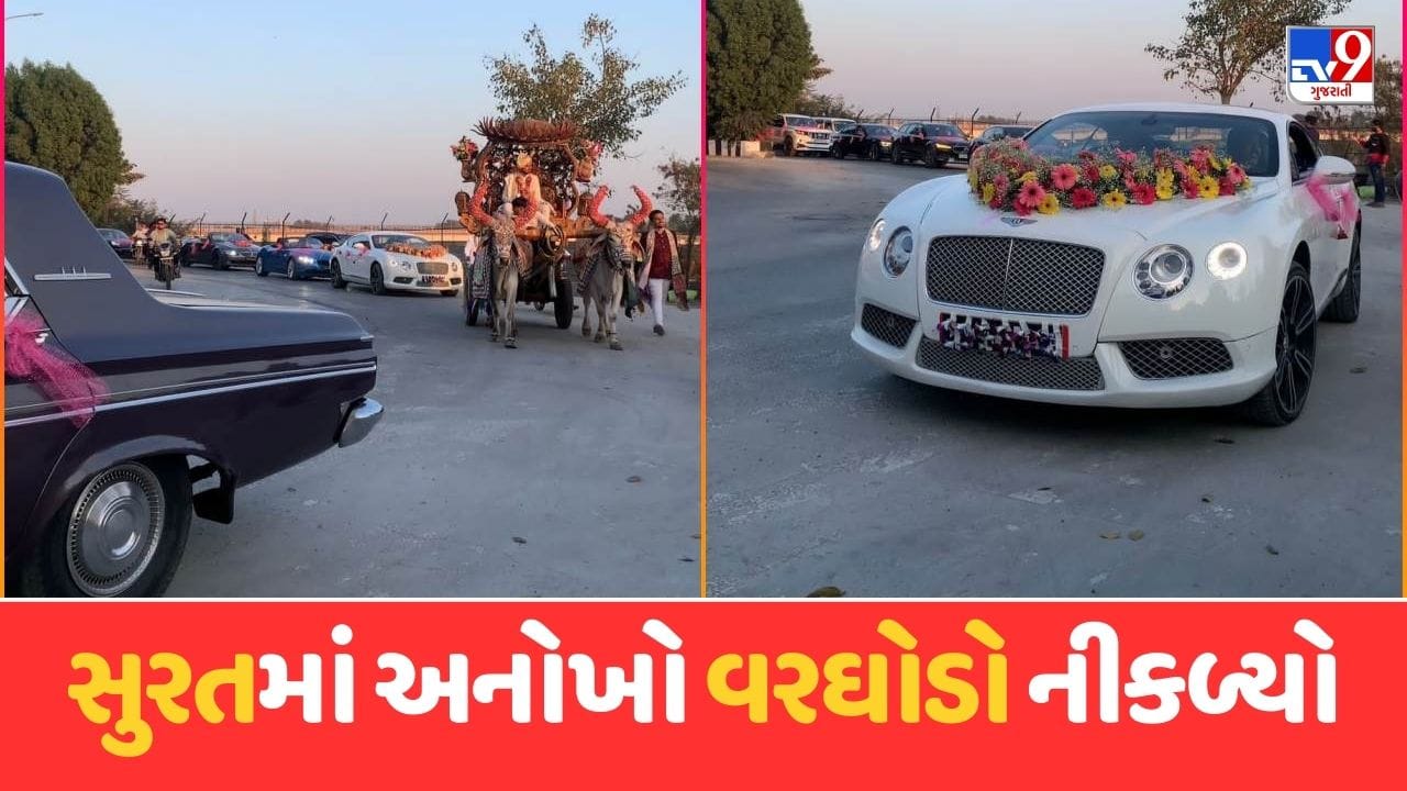 સુરતમાં વરરાજાએ વટ પાડ્યો, 100 લક્ઝુરિયસ કારથી કાઢ્યો વરઘોડો, બળદગાડાથી ...