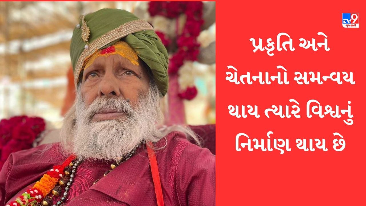 Pilot BABA : પ્રકૃતિ અને ચેતનાનો સમન્વય થાય ત્યારે વિશ્વનું નિર્માણ થાય ...