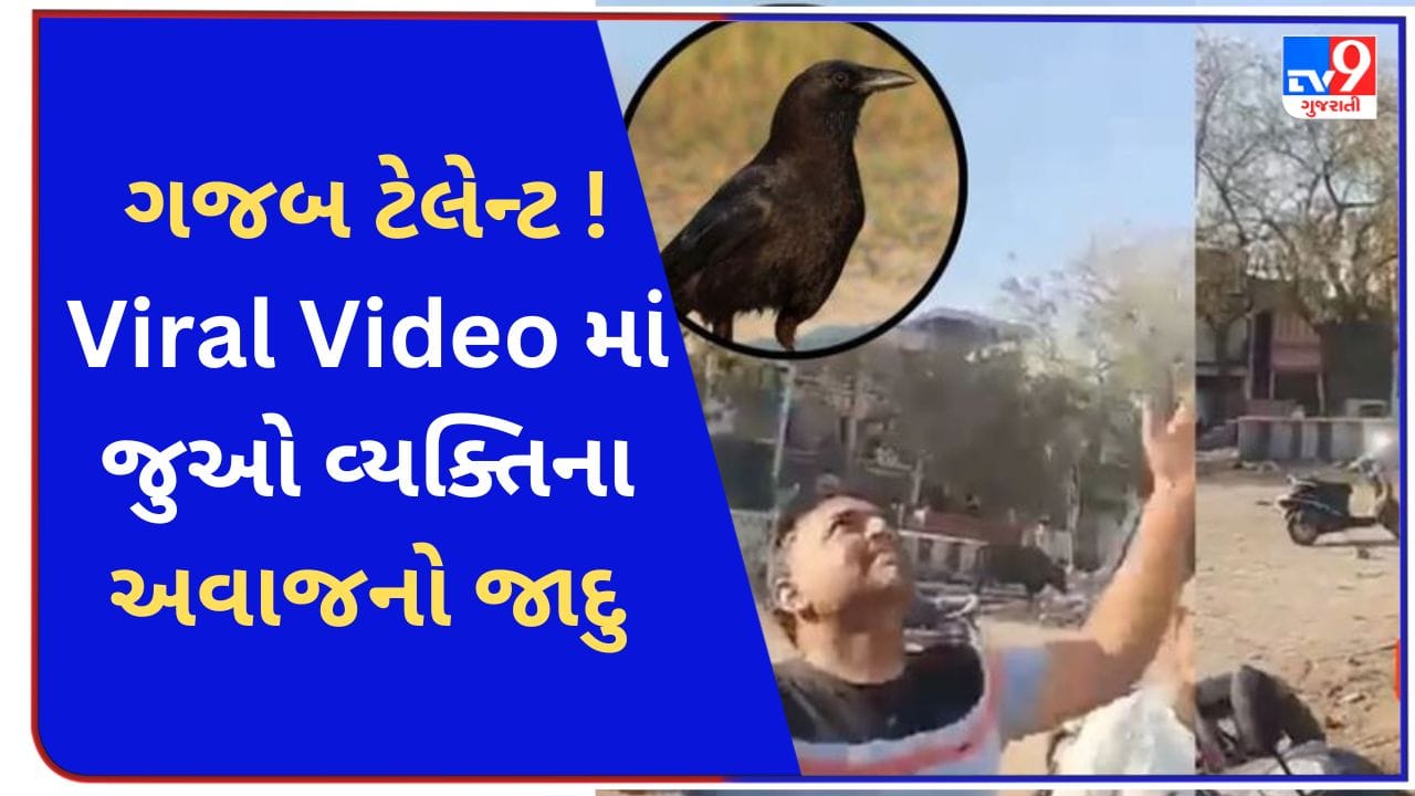 ગજબનું ટેલેન્ટ ! આ વ્યક્તિ એવો અવાજ કરે છે કે કાગડા ઉડીને આવી જાય છે- જુઓ Viral video - Gujarati ...