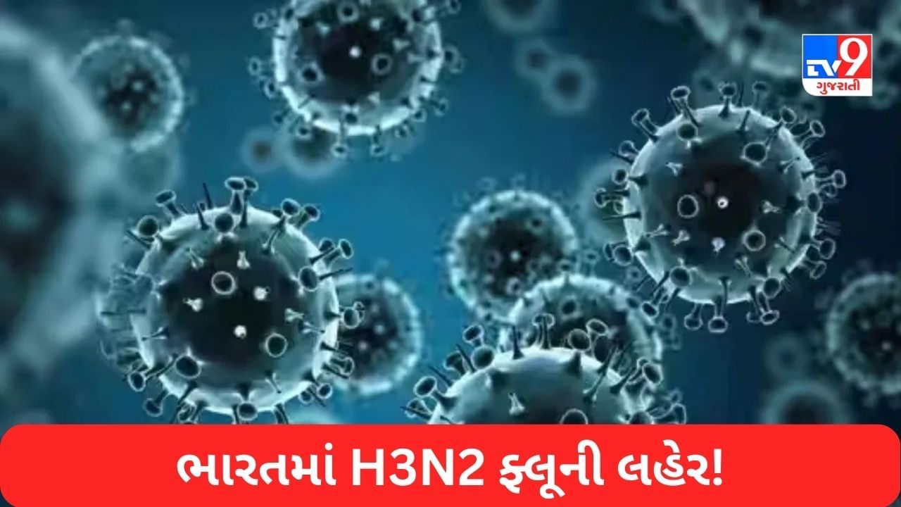 H3N2 Influenza: ભારતમાં H3N2 ફ્લૂની લહેર! લક્ષણો અને નિવારણ સંબંધિત ...