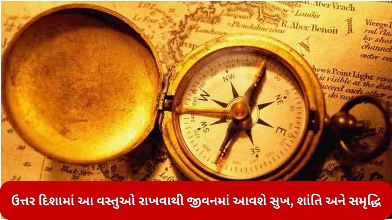 Vastu Tips: વાસ્તુ અનુસાર આ વસ્તુઓને ઉત્તર દિશામાં રાખવાથી જીવનમાં આવશે ...