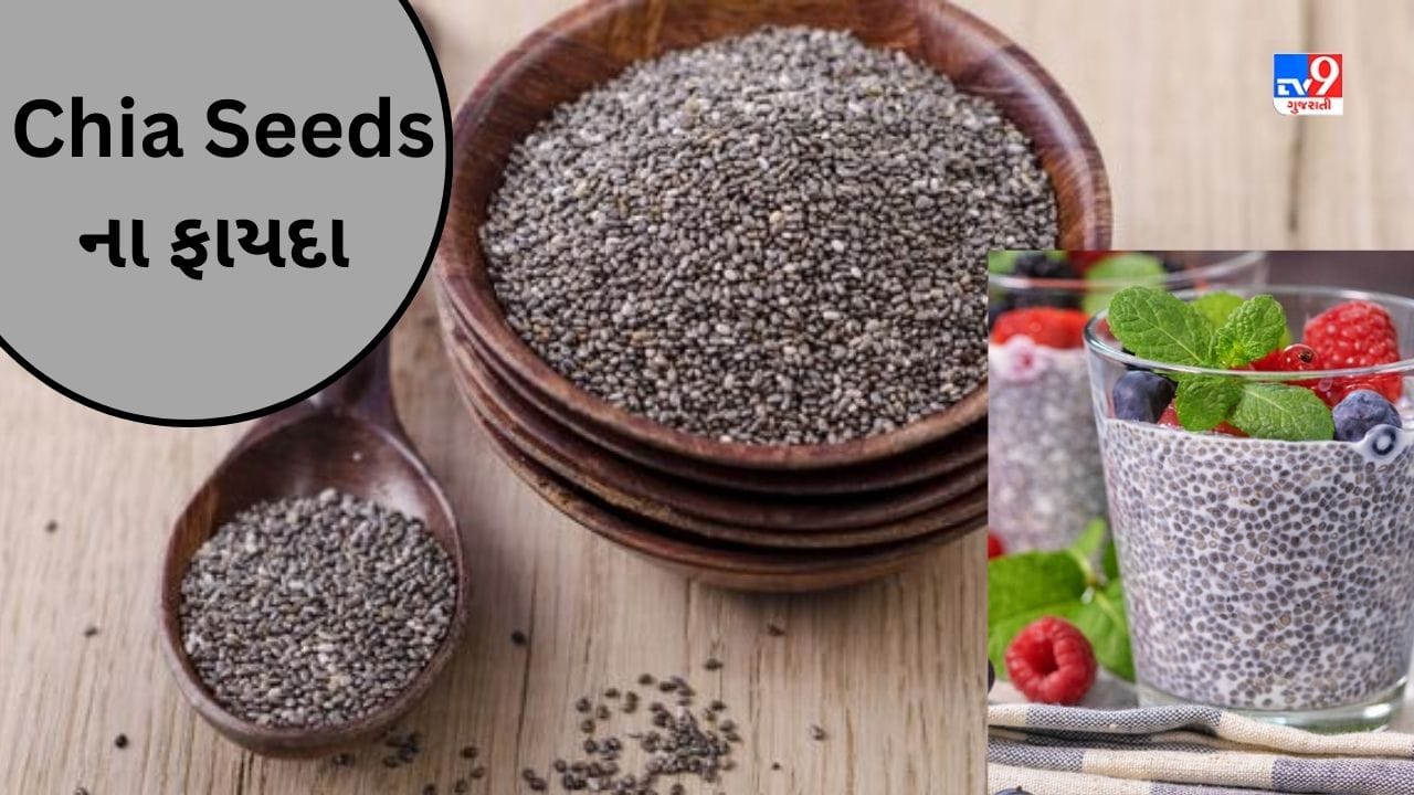 સ્વાસ્થ્ય માટે ખુબ જ ફાયદા કારક છે Chia Seeds, અનેક બીમારીઓમાં આપે છે ...