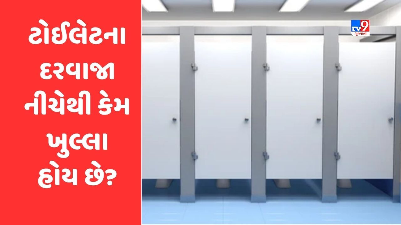Knowledge: Toiletનો ગેટ નીચેથી કેમ ખુલ્લો હોય છે? કારણ જાણી તમને ...