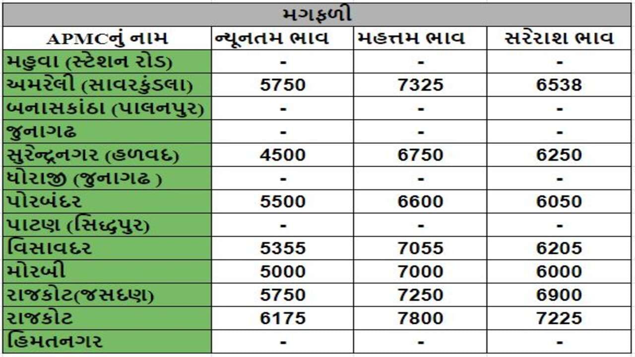 Mandi : અમરેલીની બગસરા APMCમાં કપાસના મહત્તમ ભાવ રૂપિયા 8800 રહ્યા, જાણો જુદા-જુદા પાકના ભાવ ...