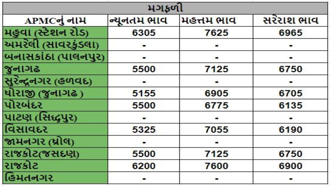 Mandi : મહુવાની APMCમાં મગફળીના મહત્તમ ભાવ રૂપિયા 7625 રહ્યા, જાણો જુદા-જુદા પાકના ભાવ ...