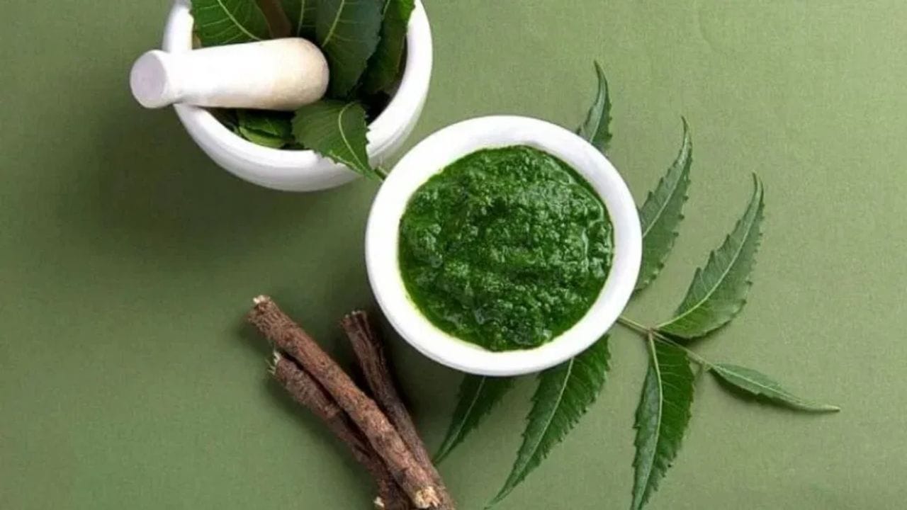 Neem benefits : કડવા લીમડાના છે મીઠા ગુણ, લીમડાના પાંદડાના આરોગ્યલક્ષી ...