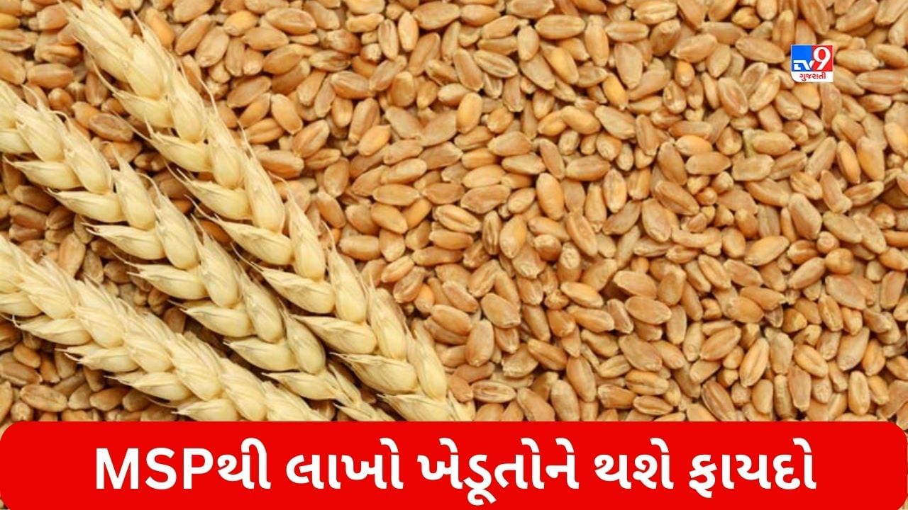 Wheat MSP: આ રાજ્યની સરકારે ઘઉંની ખરીદી માટે MSPની કરી જાહેરાત, લાખો ...