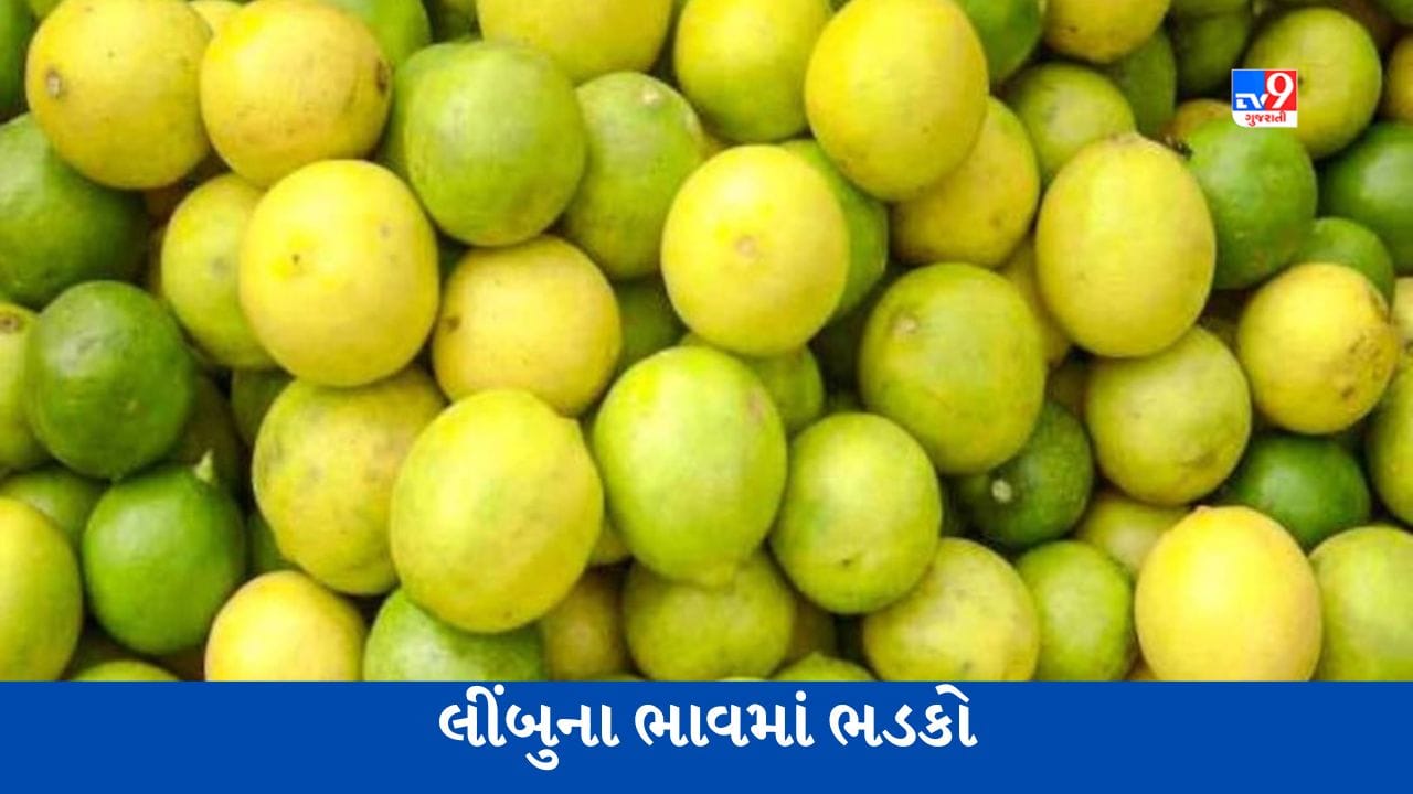 Lemon Price: લીંબુના ભાવમાં ભડકો, ભાવ 200 રૂપિયા પ્રતિ કિલોને પાર પહોંચ્યા - Gujarati News ...
