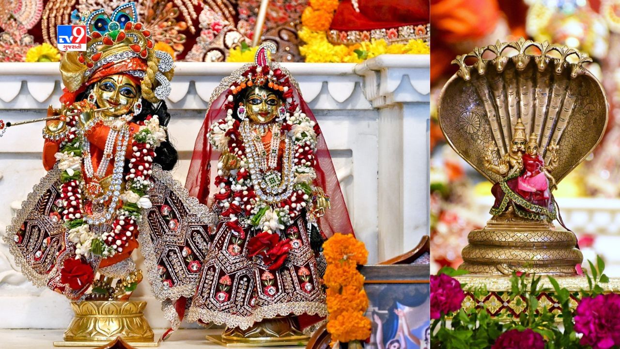 Photos: અમદાવાદના ભાડજમાં હરે કૃષ્ણ મંદિરમાં નરસિંહ જયંતી મહોત્સવની થઇ ... Photos: અમદાવાદના ભાડજમાં હરે કૃષ્ણ મંદિરમાં નરસિંહ જયંતી મહોત્સવની થઇ ...