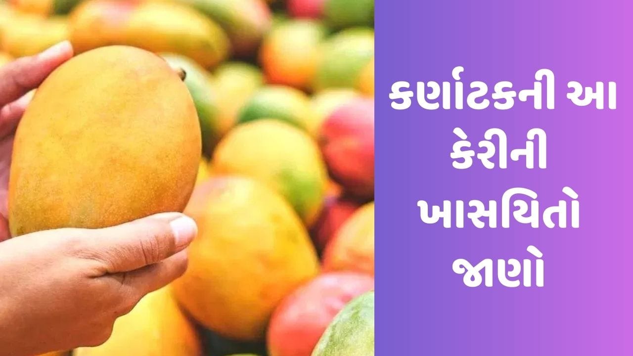 કર્ણાટકની ચૂંટણીનું પરિણામ જે આવે તે, પરંતુ શું તમે ખાધી છે ત્યાંની આ 7 ...