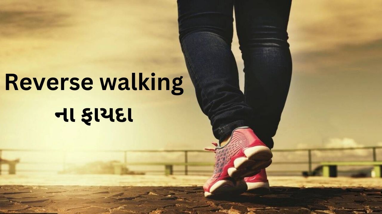 શું તમે જાણો છો Reverse walking શું છે ? માત્ર 10-20 મિનિટમાં મળી શકે ...
