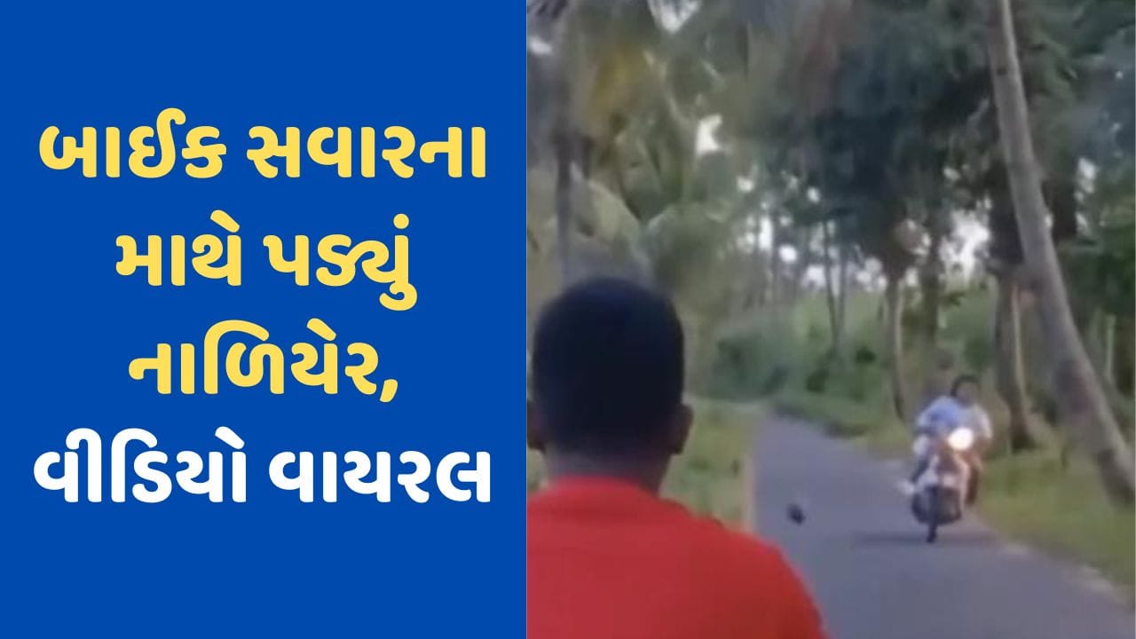 Viral Video: કોઈ દિવસ જોયું છે કે બાઈક સવારના માથે પડ્યું નાળિયેર, પછી ...