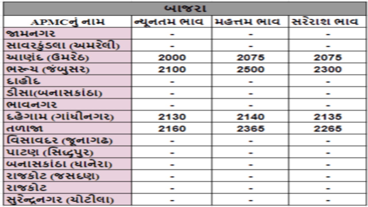 Mandi : વિસાવદર APMCમાં કપાસના મહત્તમ ભાવ રૂપિયા 10680 રહ્યા, જાણો જુદા-જુદા પાકના ભાવ ...