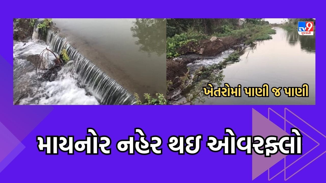 Navsari : વેસ્મા કાળાકાછા માયનોર નહેર થઇ ઓવરફ્લો, હજારો લીટર પાણી ...