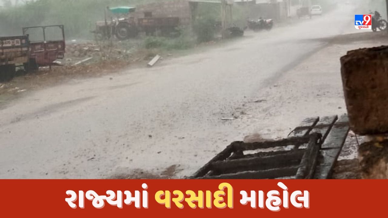 Gujarat Video: ઉમરગામથી લઈ કચ્છના મુન્દ્રા સુધી વરસાદી માહોલ, રાજ્યના ...