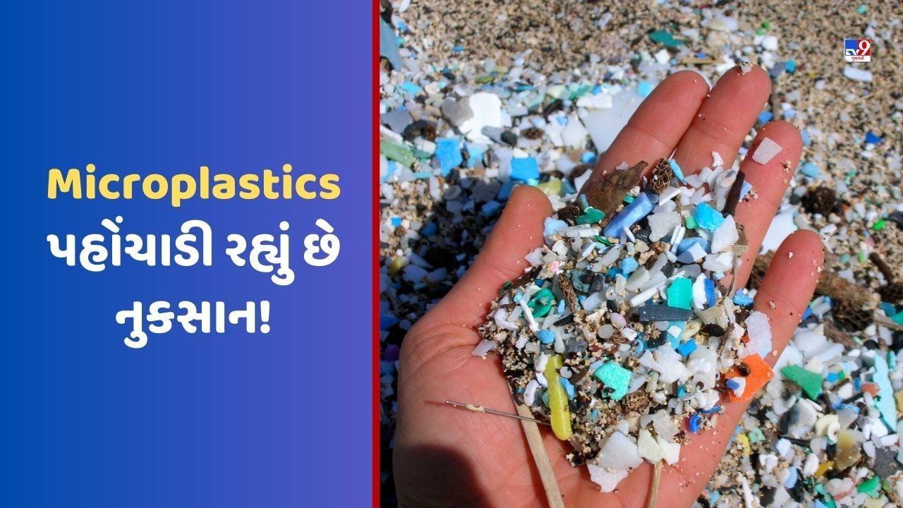 Microplastics પહોંચાડી રહ્યું છે નુકસાન ! સિગારેટથી લઈને કોસ્મેટિક સુધી ...