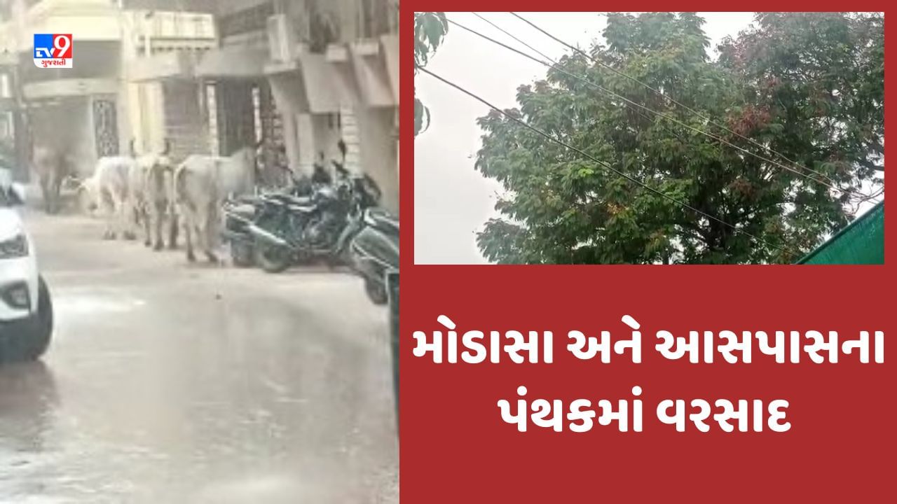 Rain in Modasa: મોડાસા અને આસપાસના વિસ્તારોમાં વરસાદ, સાબરકાંઠામાં ...