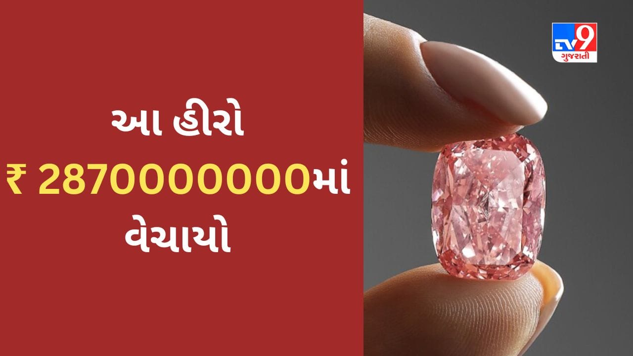 Rare Pink Diamond : વિશ્વના સૌથી કિંમતી Pink Diamondને ખરીદી લેવાયો ...
