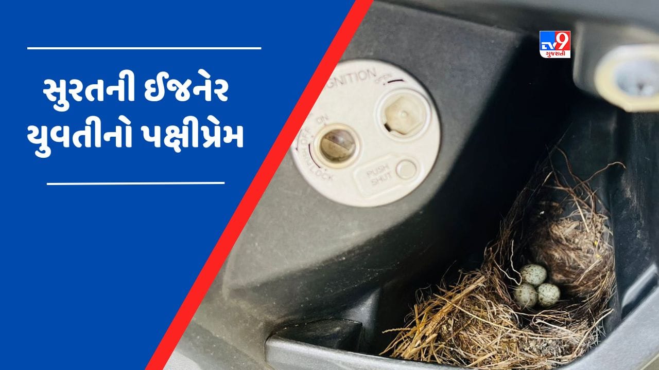 PHOTOS : દેવચકલી એ ફ્રન્ટ સોકેટમાં બાંધ્યો માળો, ઈંડા બચાવવા માટે મોપેડ ...