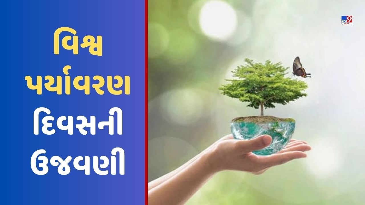 World Environment Day 2023: વિશ્વ પર્યાવરણ દિવસની ઉજવણી શા માટે અને ...