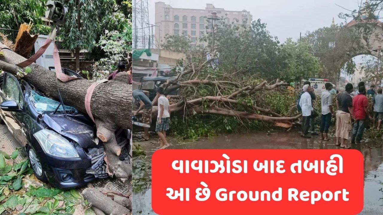 Biparjoy Cyclone Ground Report: વાવાઝોડા બાદનો Ground report, ઘરમાં પાણી, રસ્તામાં વૃક્ષો અને ...