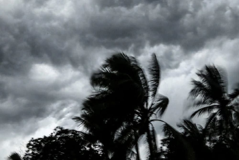 Cyclone Hits Brazil:ચક્રવાતે બ્રાઝિલમાં તબાહી મચાવી, અત્યાર સુધીમાં ...