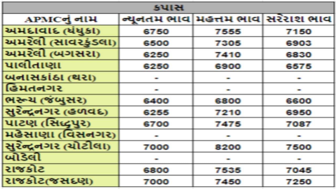 Mandi : રાજકોટના APMCમાં જુવાર ના મહત્તમ ભાવ રૂપિયા 5500 રહ્યા, જાણો જુદા-જુદા પાકના ભાવ ...