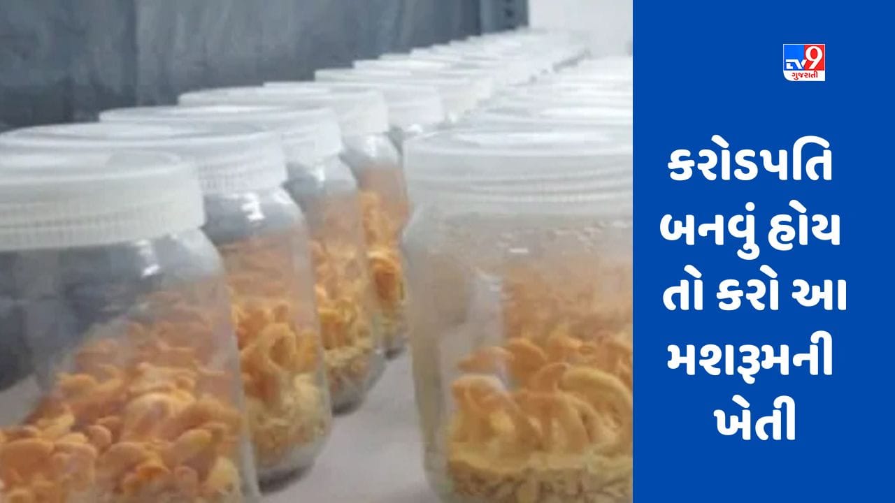 Keeda Jadi: કરોડપતિ બનવું હોય તો કરો આ મશરૂમની ખેતી, કિંમત રૂ. 20 લાખ ...