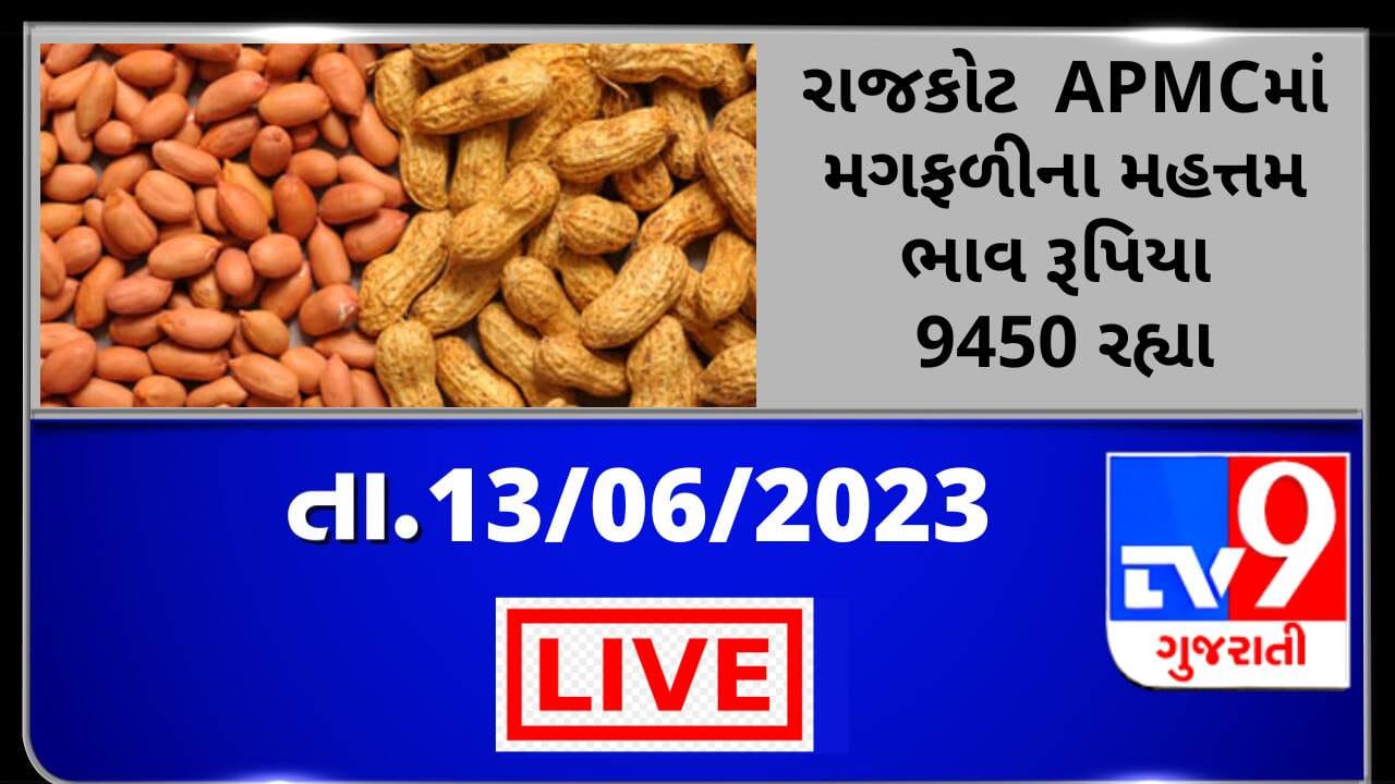 Mandi : રાજકોટ APMCમાં મગફળી ના મહત્તમ ભાવ રૂપિયા 9450 રહ્યા, જાણો જુદા-જુદા પાકના ભાવ ...
