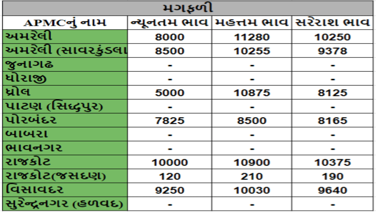 Mandi : ચોટીલાની APMCમાં કપાસના મહત્તમ ભાવ રૂપિયા 8200 રહ્યા, જાણો જુદા-જુદા પાકના ભાવ, જુઓ ...
