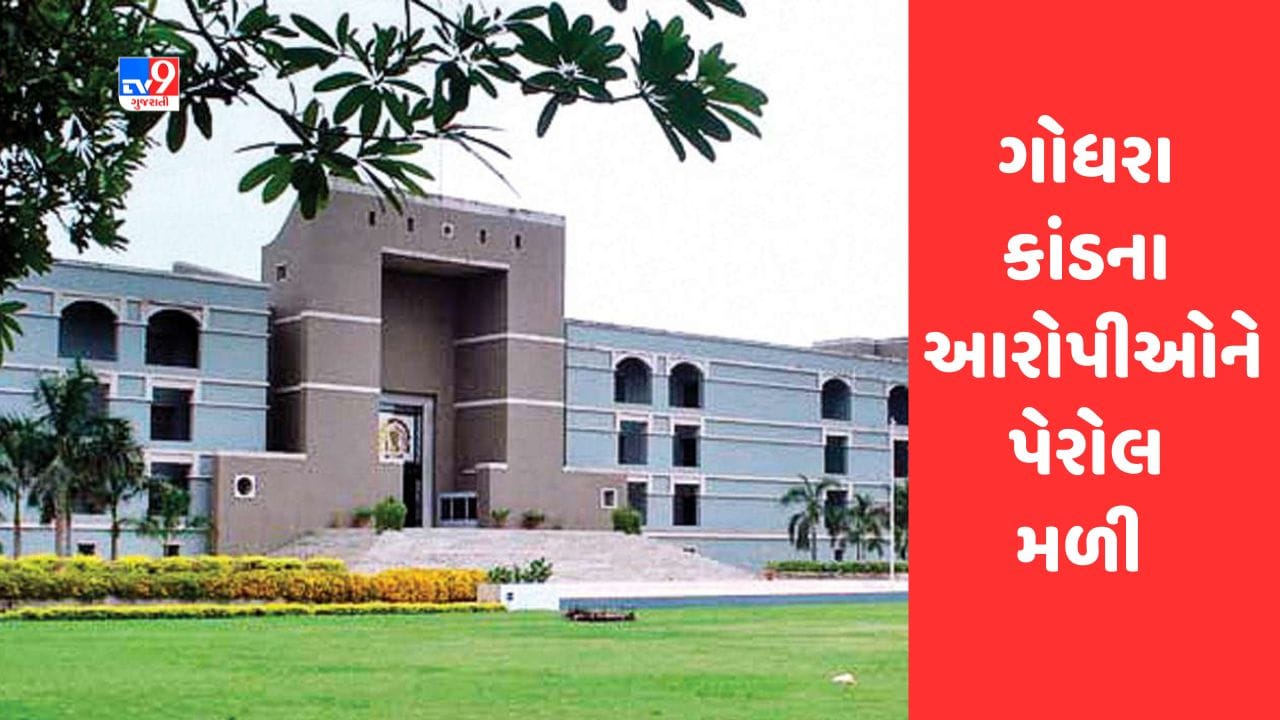 Gujarati Video : ગોધરા કાંડના આરોપીઓની હાઈકોર્ટે 15 દિવસની પેરોલ અરજી ...