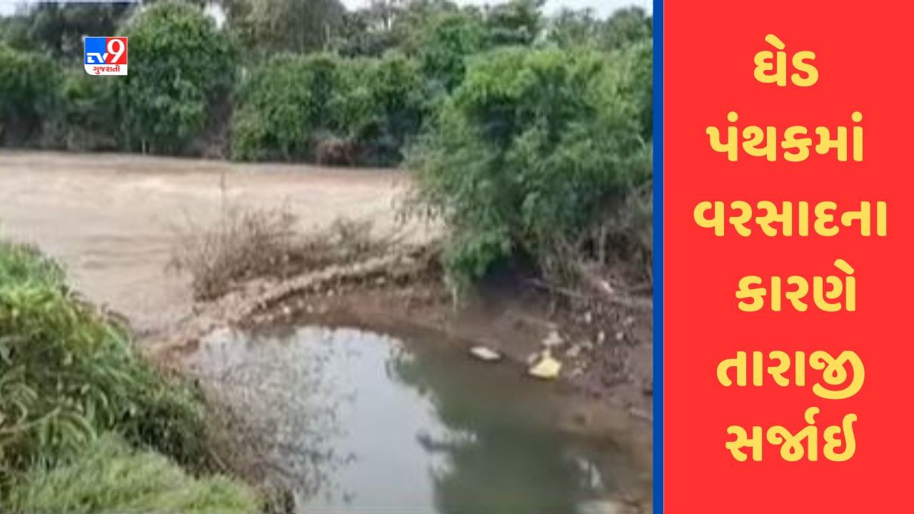 Gujarati Video: જૂનાગઢના ઘેડ પંથકમાં વરસાદના કારણે તારાજી સર્જાઇ ...