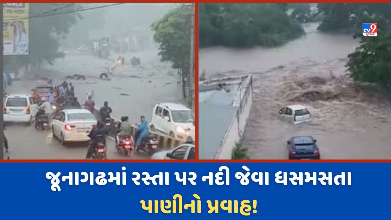 Gujarat Rain: જૂનાગઢ શહેરમાં મુશળધાર વરસાદ,રસ્તા પર નદી વહેતી હોય તેવા ...
